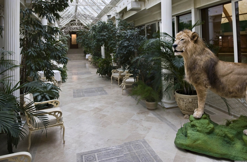 Музей корупції та свавілля в Україні: президентська резиденція Межигір ...